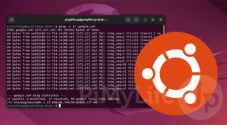 How to use the ping Command on Ubuntu - Pi My Life Up