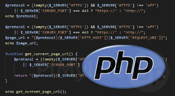 How to Get the Current Page URL in PHP - Pi My Life Up