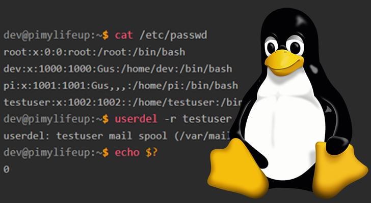 Using The Userdel Command In Linux To Remove Users Pi My Life Up