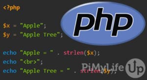 How to use the PHP strlen() Function - Pi My Life Up