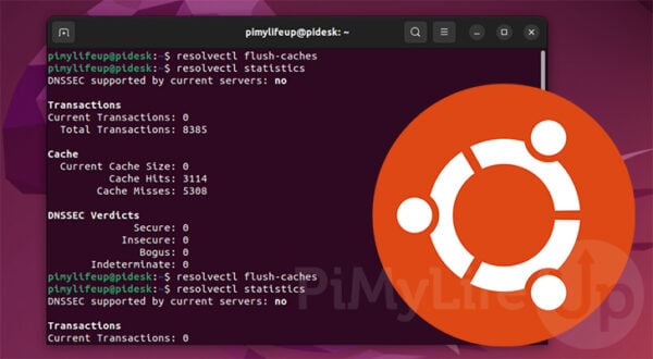 How to Flush the DNS Cache on Ubuntu - Pi My Life Up