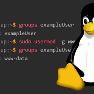 The mkdir Command on Linux - Pi My Life Up