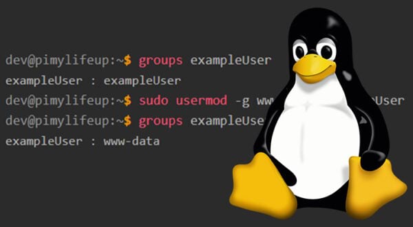 The rm Command in Linux - Pi My Life Up