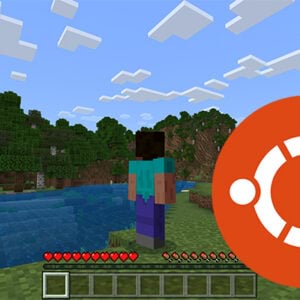 How to Download and Run a Minecraft Server on Linux - Pi My Life Up