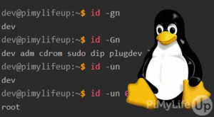 How to use the id Command in Linux - Pi My Life Up