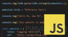 Using console.log() in JavaScript - Pi My Life Up