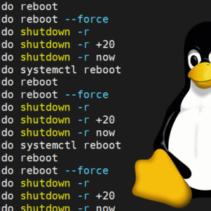 How to Set, List, and Use Environment Variables on Linux - Pi My Life Up