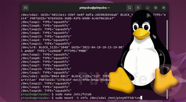 How to Mount NTFS Partitions on Linux - Pi My Life Up