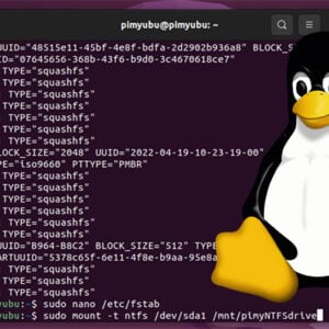How to Set, List, and Use Environment Variables on Linux - Pi My Life Up