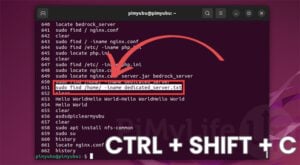 How to Copy and Paste in the Ubuntu Terminal - Pi My Life Up
