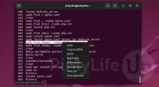 How to Copy and Paste in the Ubuntu Terminal - Pi My Life Up
