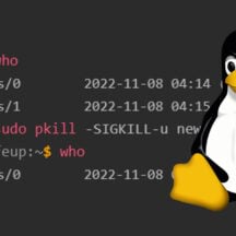Using Fastfetch to Get your Linux System Information - Pi My Life Up