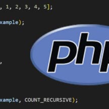 How to use the PHP in_array() Function - Pi My Life Up