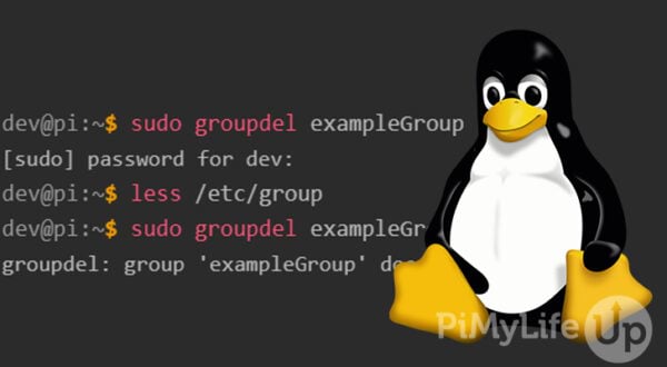 How to use the groupdel Command - Pi My Life Up
