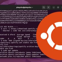 How to Install Pi-hole on Ubuntu - Pi My Life Up