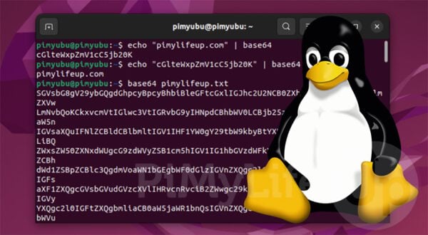 How to Encode or Decode a base64 String on Linux - Pi My Life Up