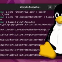 Using the userdel Command in Linux to Remove Users - Pi My Life Up