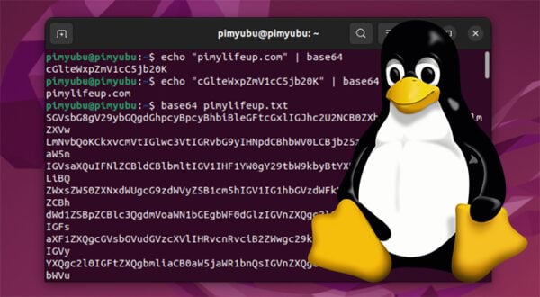 Searching for Files on Linux using the find Command - Pi My Life Up