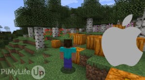 How to Setup a Java Minecraft Server on a Mac - Pi My Life Up