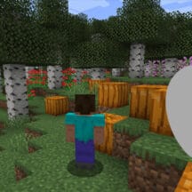 Setting up a Minecraft Java Edition Server on Ubuntu - Pi My Life Up