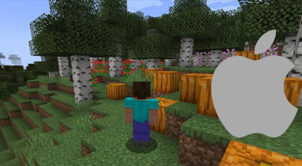 Raspberry Pi Minecraft Server - Pi My Life Up