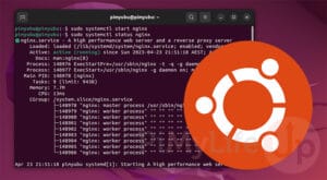 How to Start, Stop or Restart NGINX on Ubuntu - Pi My Life Up