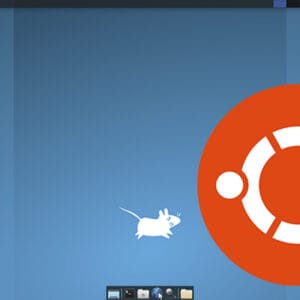 How to Install and Use Flatpak on Ubuntu - Pi My Life Up
