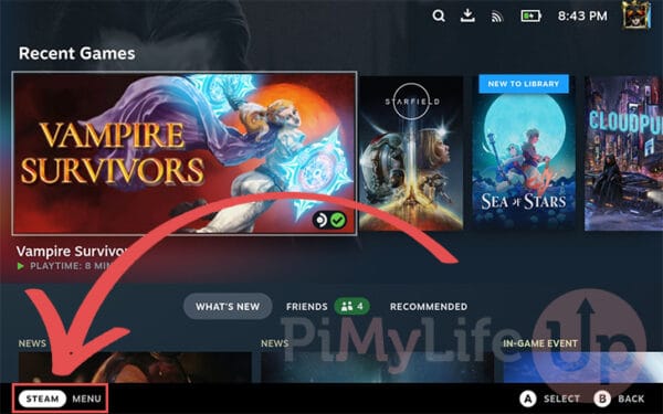 Watching Netflix on the Steam Deck - Pi My Life Up