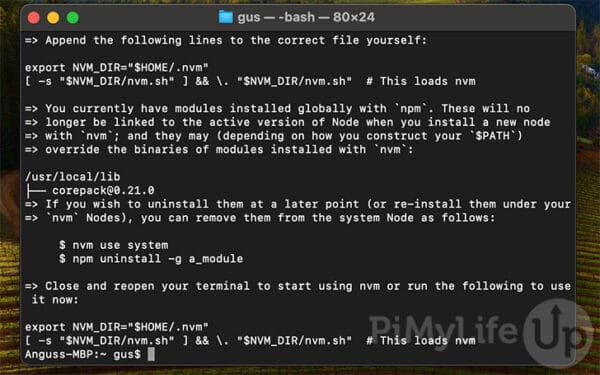 How to Install Node.JS and NPM on MacOS - Pi My Life Up