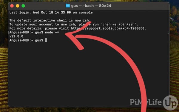 How to Install Node.JS and NPM on MacOS - Pi My Life Up