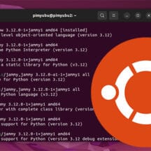 Installing Python on Linux - Pi My Life Up