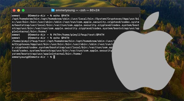 How to Set an Environment Variable on Ubuntu - Pi My Life Up