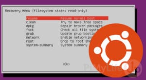 How to Boot into Ubuntu Recovery Mode - Pi My Life Up