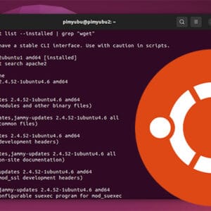 How to Uninstall a Package on Ubuntu - Pi My Life Up