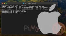 How to Find and Kill a Process Using a Specific Port on macOS - Pi My Life Up