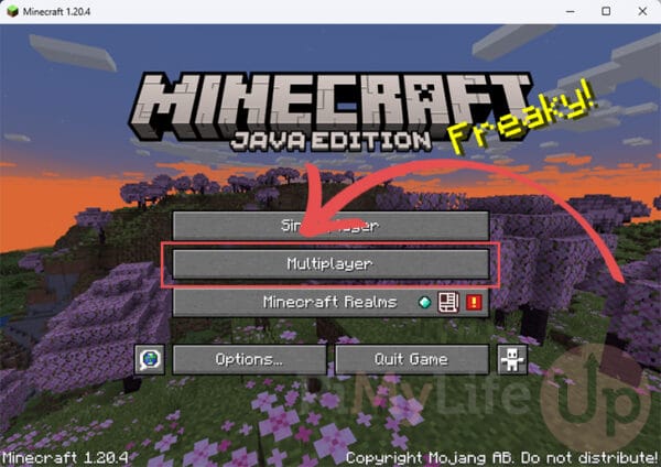 How to Run a Minecraft Java Server using Docker - Pi My Life Up