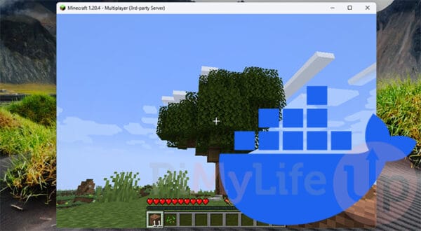 How to Run a Minecraft Java Server using Docker - Pi My Life Up