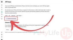 Generate AI Art on your Raspberry Pi using OpenAI's DALL-E - Pi My Life Up