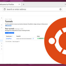 How to Set Up Cloudflare Tunnel on Home Assistant - Pi My Life Up