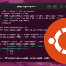 How to Install the Godot Game Engine on Ubuntu - Pi My Life Up