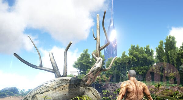 Setting up an Ark Dedicated Server on Linux - Pi My Life Up