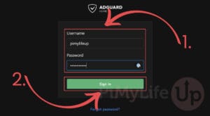 Learn How to Run AdGuard Home using Docker - Pi My Life Up