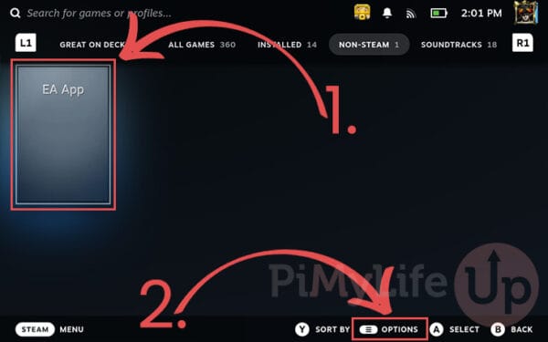 Using Proton on the Steam Deck - Pi My Life Up