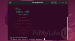 How to Install Pi-hole on Ubuntu - Pi My Life Up