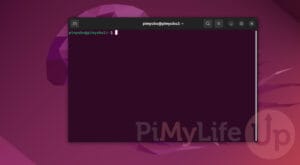 How to use the Task Manager on Ubuntu - Pi My Life Up