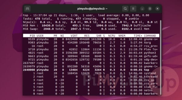 How to use the Task Manager on Ubuntu - Pi My Life Up