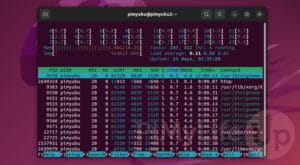 How to use the Task Manager on Ubuntu - Pi My Life Up
