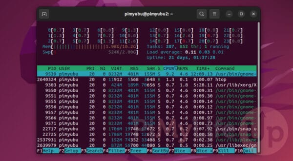 How to use the Task Manager on Ubuntu - Pi My Life Up