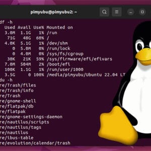 Finding the Disk Usage of a Folder on Linux - Pi My Life Up