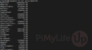 How to Check Memory Usage on Linux using the Terminal - Pi My Life Up